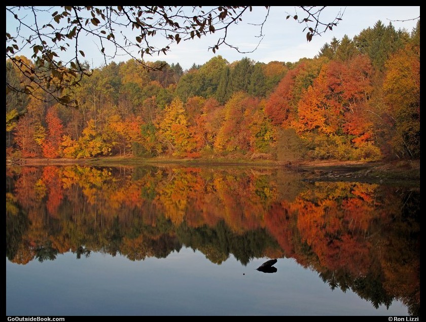 Naugatuck State Forest, Connecticut, in Autumn | Go Outside Book
