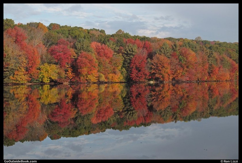 Naugatuck State Forest, Connecticut, in Autumn | Go Outside Book