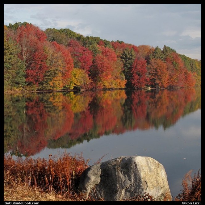 Naugatuck State Forest, Connecticut, in Autumn | Go Outside Book