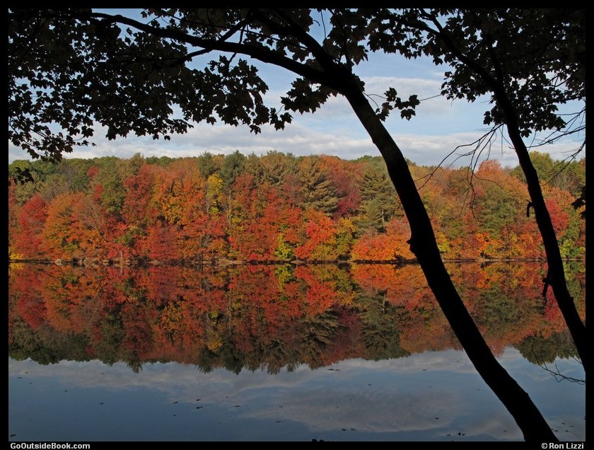 Naugatuck State Forest, Connecticut, in Autumn | Go Outside Book