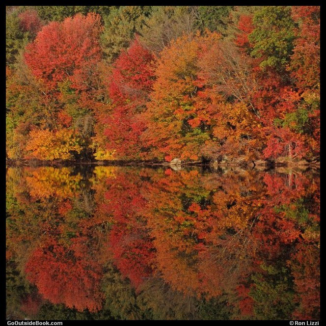 Naugatuck State Forest, Connecticut, in Autumn | Go Outside Book
