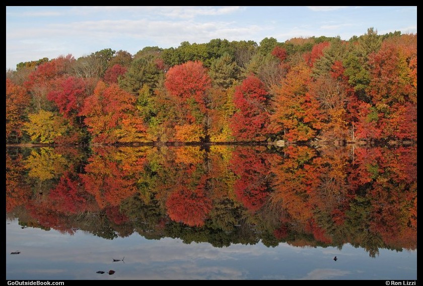 Naugatuck State Forest, Connecticut, in Autumn | Go Outside Book